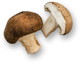 Home - Simpatico Restaurant