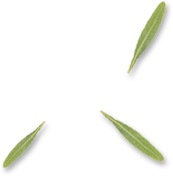 Home - Simpatico Restaurant